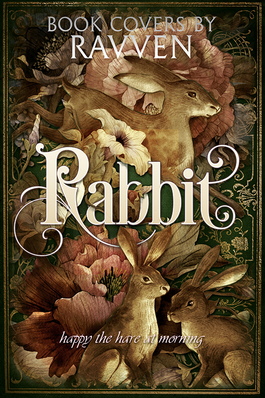 Unique, Affordable Pre-Designed Ebook Covers – Ravven